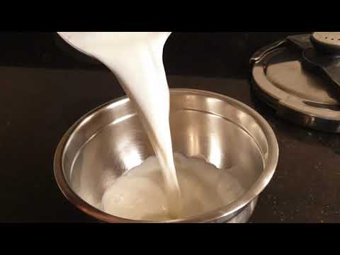 MOST REQUESTED VIDEO HOME MADE YOGURT RECIPE IN TAMIL SAMAYAL SAKTHI'S CHANNEL