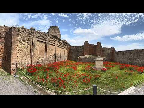 Pompeii 5-5-25