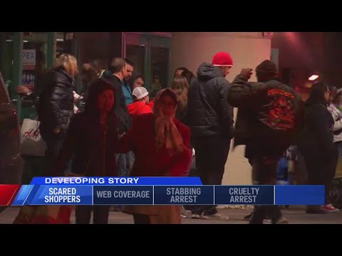 Shoppers recall the moment gunshots rang out inside Destiny USA