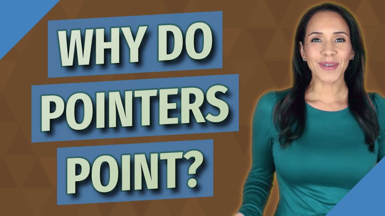 Why do pointers point?