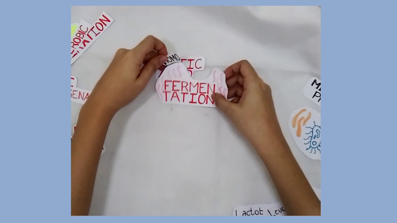 LACTIC ACID FERMENTATION IN 5 MINUTES (zoo lab report)