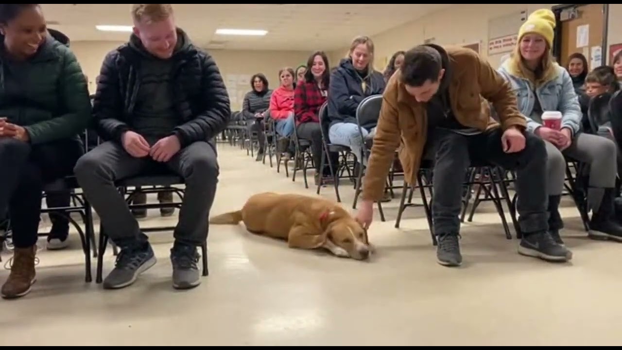 When Dogs Choose Their Owners | Real December Adoption Event