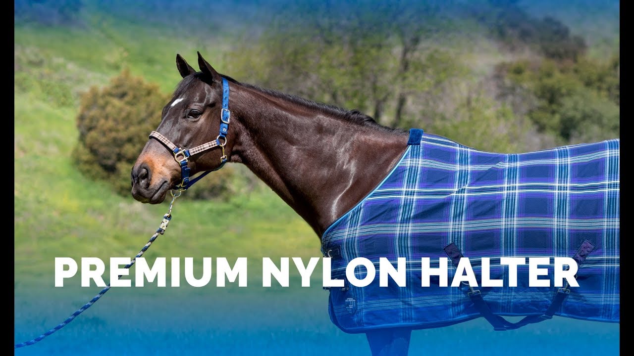 Premium Nylon Halter