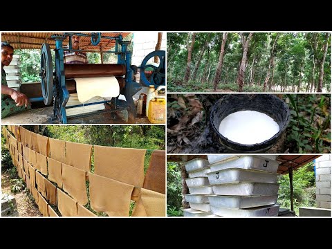 Natural Rubber at Best Price in India
