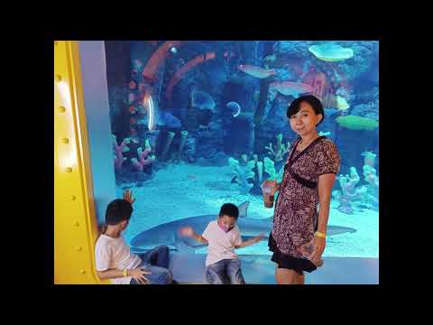 BX Sea Bintaro Xchange Mall @bxcmall