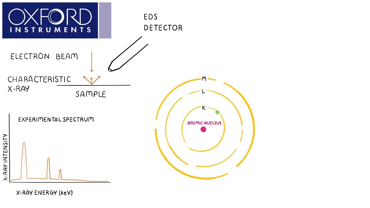 Introduction to EDS – Oxford Instruments Bitesized Learning
