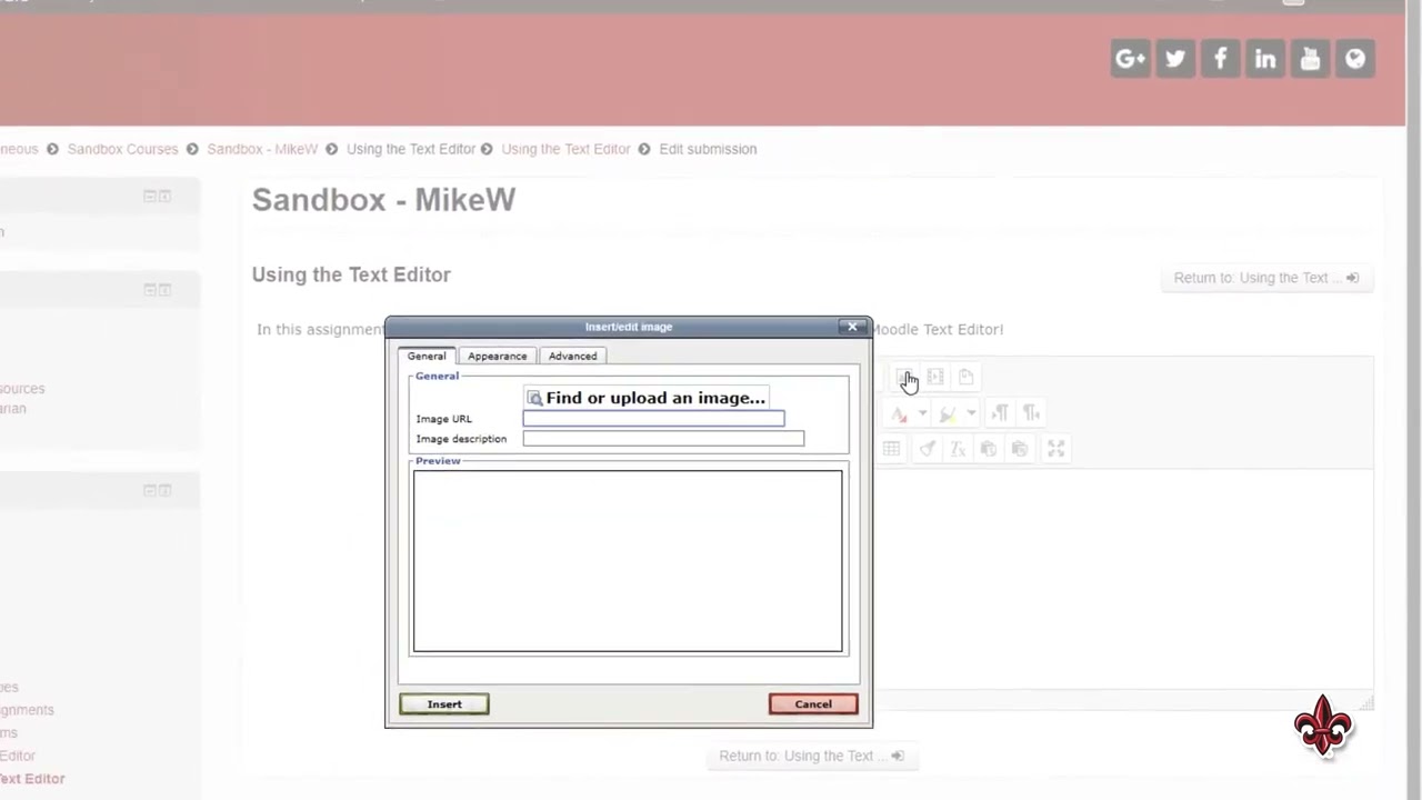 Formatting text in the Moodle Text Editor