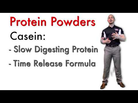 Different Types of Protein by SameDaySupplements