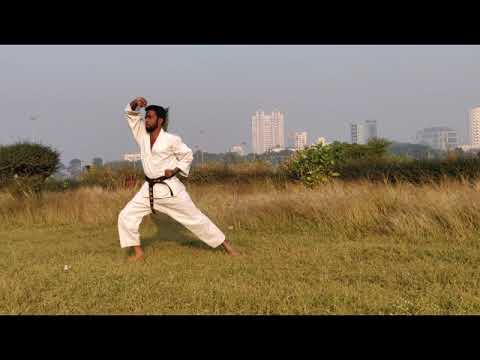 heain shodan