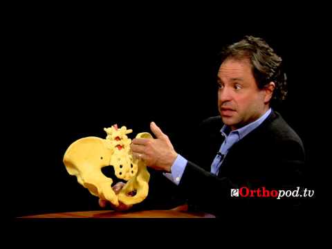Why do we know so little about the SI joint? (Amazing Interview with Dr ...