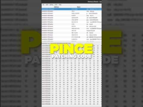 Simple Linux Game Hacking with PINCE