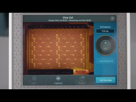 E-Gel Power Snap Plus How-To Series: Gel Live View