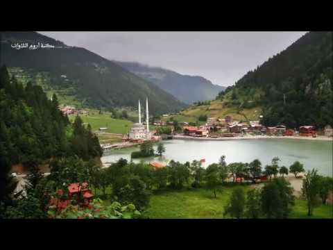 تلاوة خاشعة من سورة النمل للقارئ اسلام صبحي - Al quran al karim