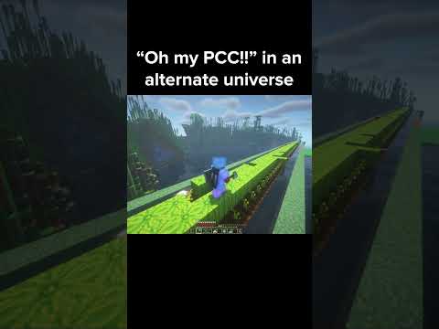 Minecraft Meme