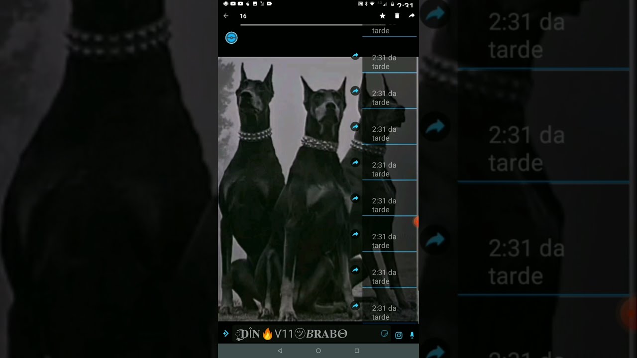 NOVO IMUNE !!  LISINHO  RAJANDO IGUAL AK 47 IMUNE A TUDO  😈😈⚡⚡