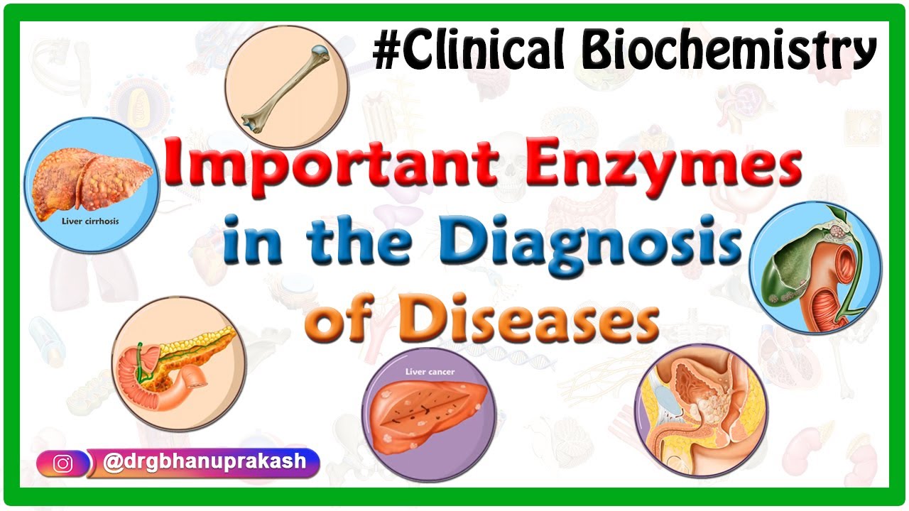 Important Enzymes in the Diagnosis of Diseases - Clinical Biochemistry Animations #usmle
