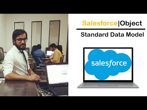 Salesforce Tutorial | Standard data model and Object