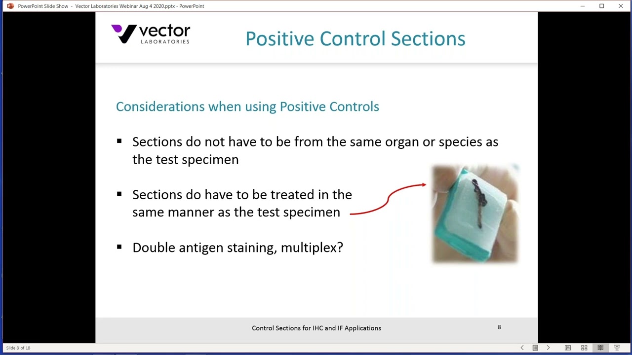 Control sections for IHC and IF applications