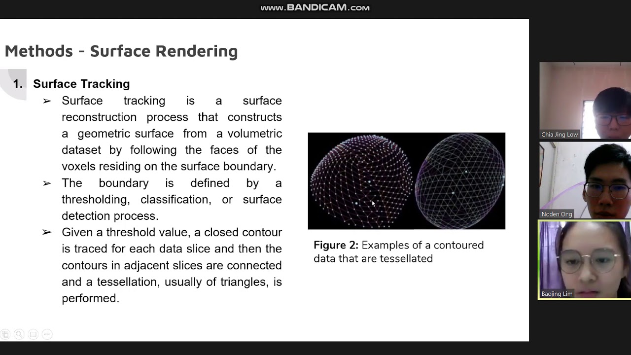 Data Visualization Project Presentation - Surface Rendering vs Volume Rendering