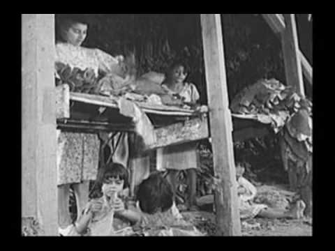 Juan Antonio Corretjer: nuestro poeta nacional | suigeneriscsj