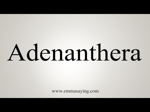 How To Say Adenanthera