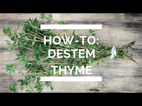 How-To: Destem Thyme