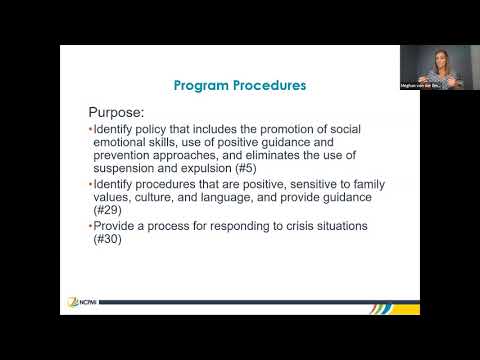 Providing Supports to Classrooms and Children Using the Behavior Incident Report System (BIRS)