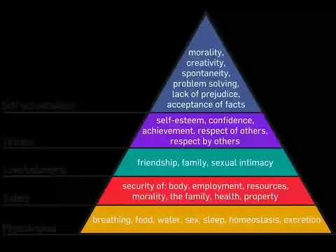 Psychology Etymology and definitions