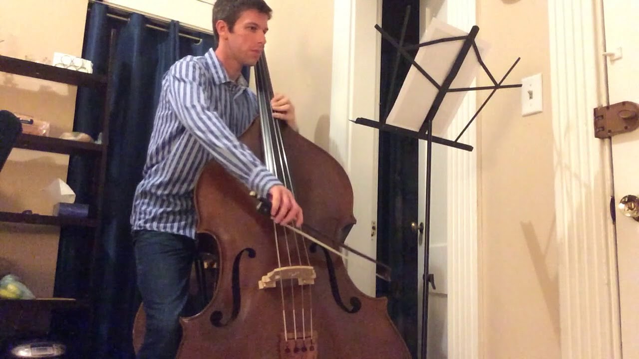 Hire Darren Sacks - Bassist in Boston, Massachusetts