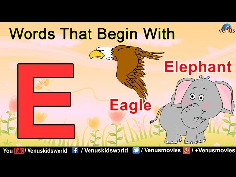 Words That Begin With 'E'