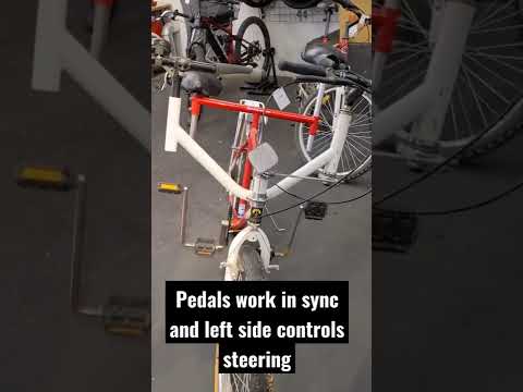 what do I even call this bike? side by side or tandem?