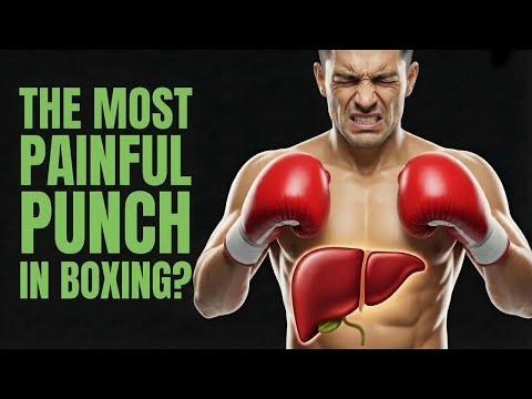 Liver Shots Destroy Boxers – Why and How
