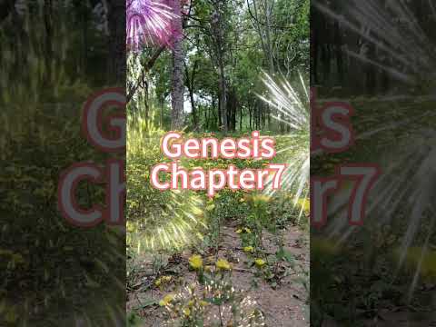 Genesis chapter1-10 read in Chinese Mandarin
