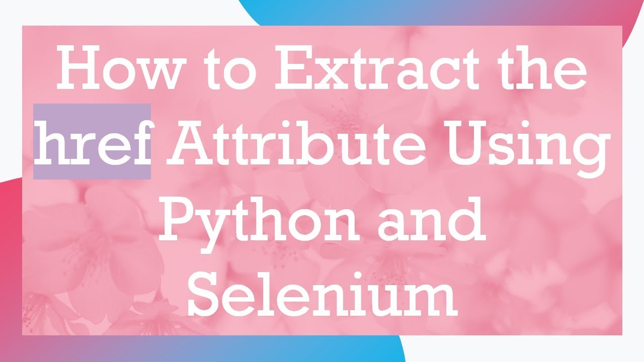 How to Extract the href Attribute Using Python and Selenium