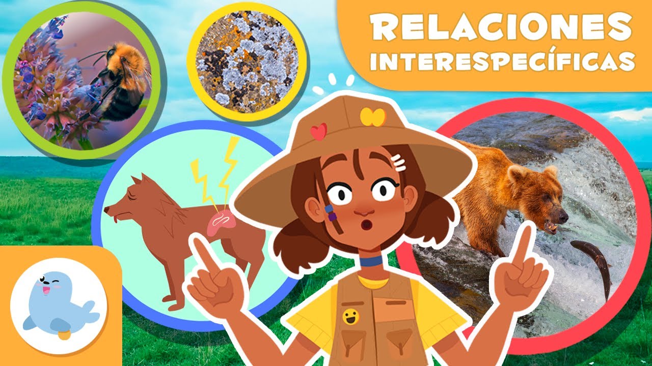RELACIONES INTERESPECÍFICAS para niños 🐻🐟 Depredación, parasitismo, mutualismo y simbiosis 🐦🐮