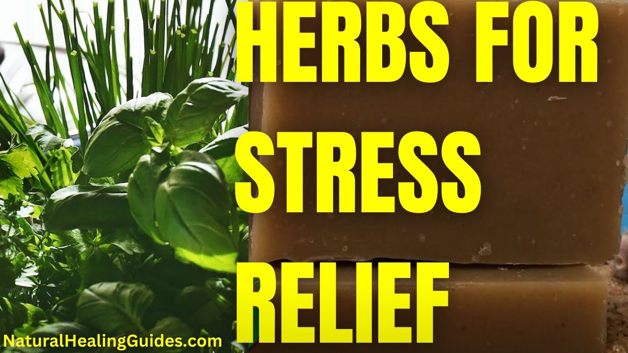 5 POWERFUL HERBS FOR STRESS RELIEF AND RELAXATION