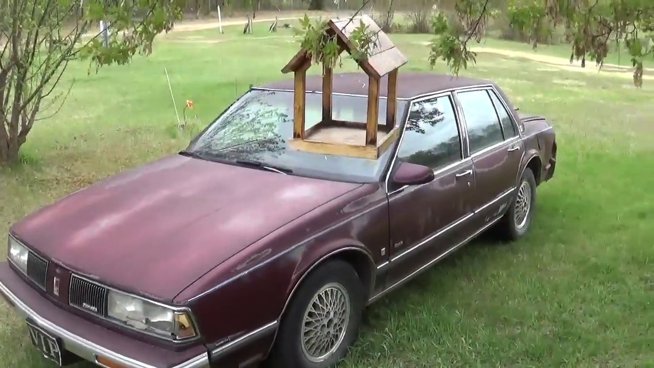 The 1989 Oldsmobile 88 Royal