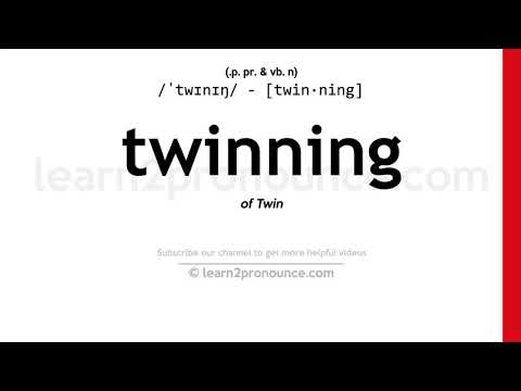 Pronunciation of Twinning | Definition of Twinning