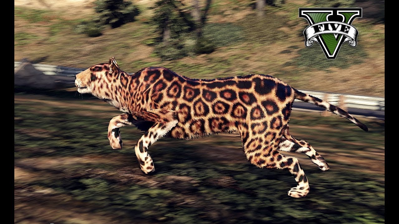 Panther + Jaguar Retexture Mountain lion - GTA5-Mods.com