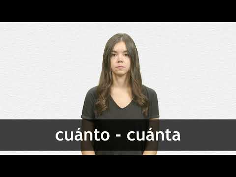 English Translation of “CUÁNTO” | Collins Spanish-English Dictionary