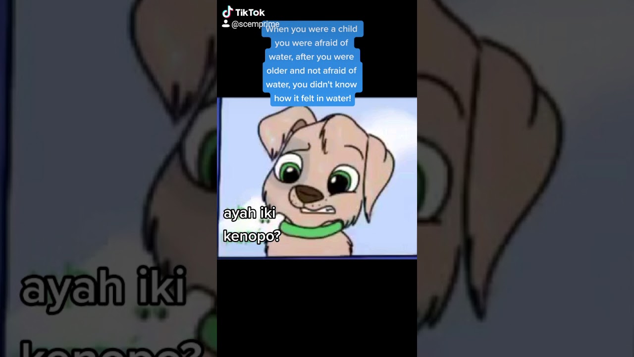 paw patrol funny comics Indonesian, in tik tok. Javanese language