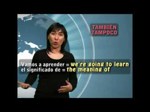Basic Spanish Vocabulary: "Also" and "Neither"