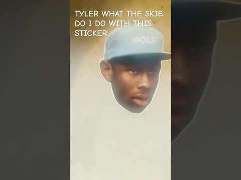 what do i do #wolf #tylerthecreator