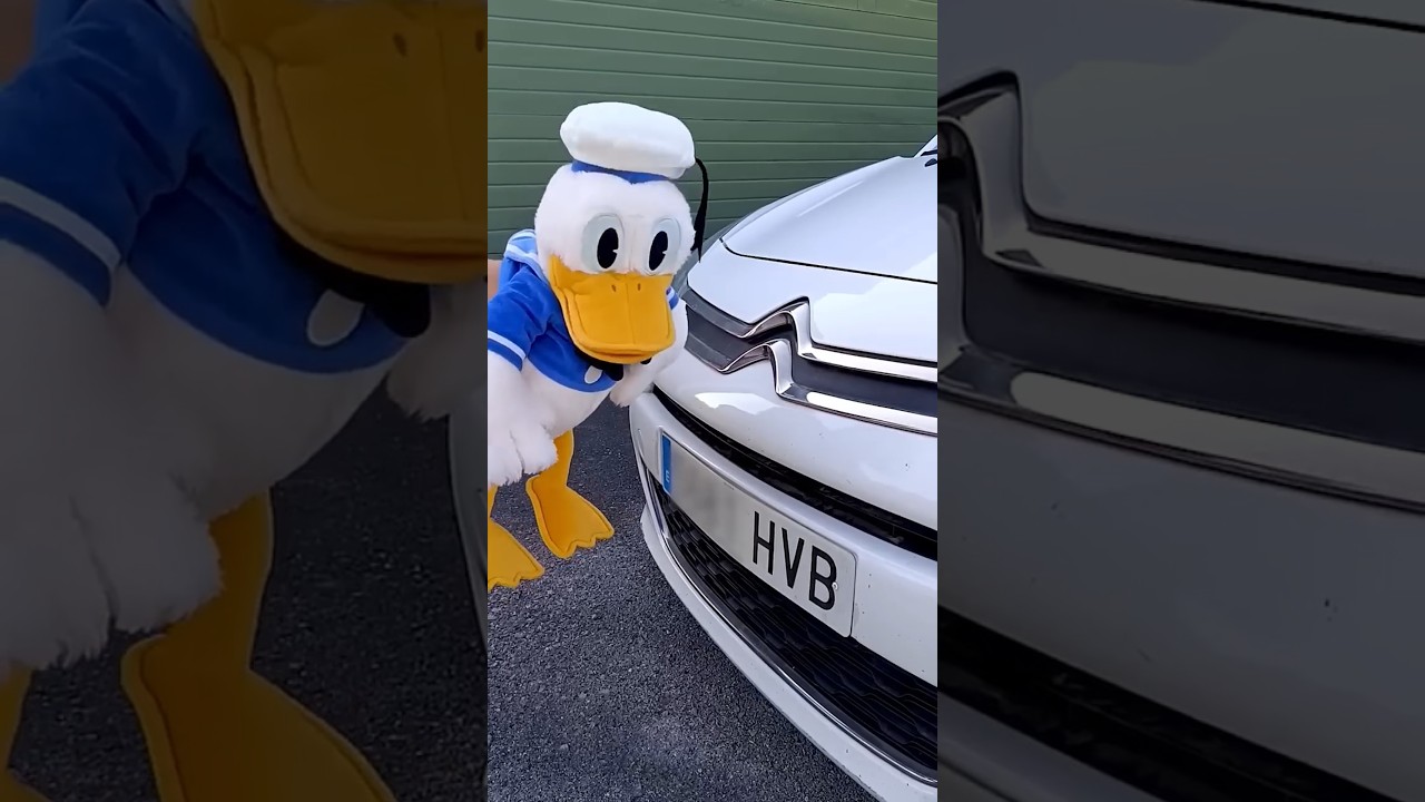 El final no lo esperaba 🦆 #humor #bentleygirl #donald #patodonald #donalduck #doblaje #disney