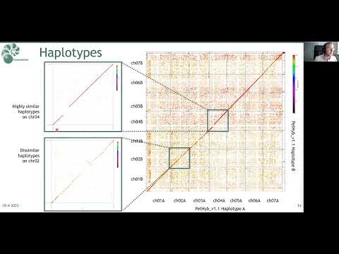 Peter Van Dam, Genetwister Technologies. Graph-based pangenome analysis of a haplotype-resolved...