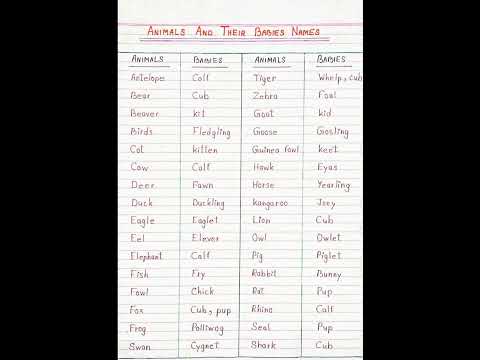 Animals and their Babies Names #ytshorts #ytviral #shorts