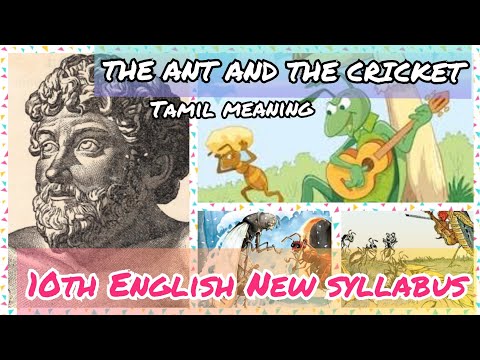 The Ant and the cricket poem (tamil meaning) 10th English new syllabus || My Hobbies Channel