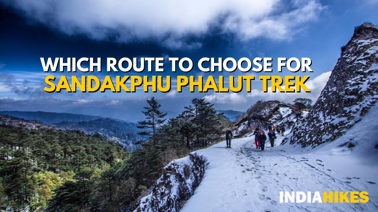 Indiahikes - India's Safest & Largest Trekking Organisation