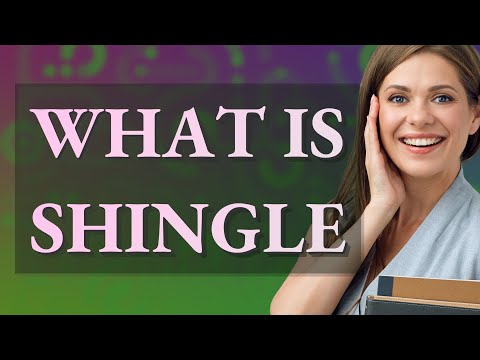 Shingle | meaning of Shingle
