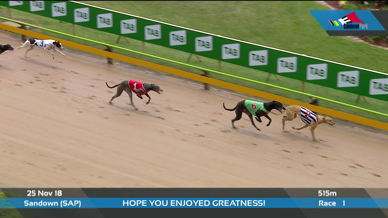 SAP SUN 25 NOV 18 R1